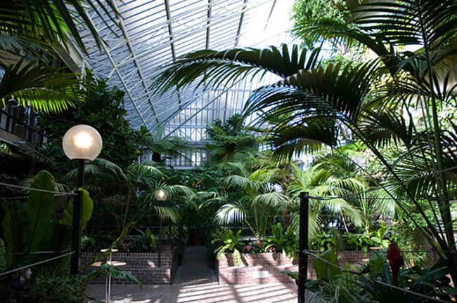Inspired By | Barbican Conservatory