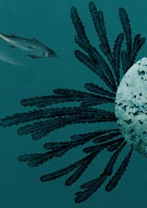 Interview | Anna Glover