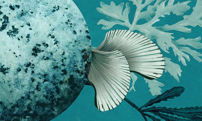 Interview | Anna Glover